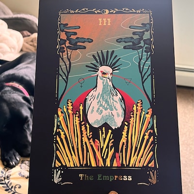 Occult Ornithology Tarot Deck and Guide Majors Only Deck Celebrating ...