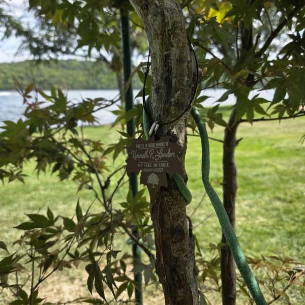 Memorial Tree Dedication Plaque Gift for Planting Trees in Memory of a ...