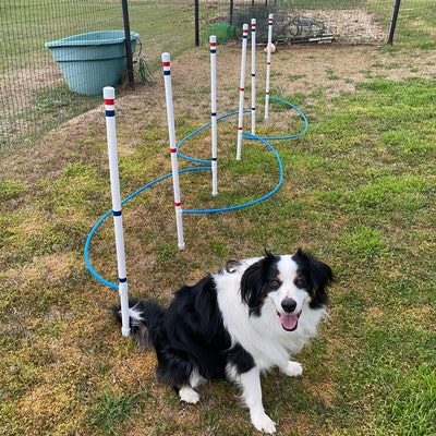 Dog Agility Equipment Construction Instruction Booklet - Etsy