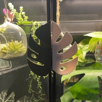 Plant Trellis Cebu Blue Pothos Plant Art Plant Decor - Etsy Canada