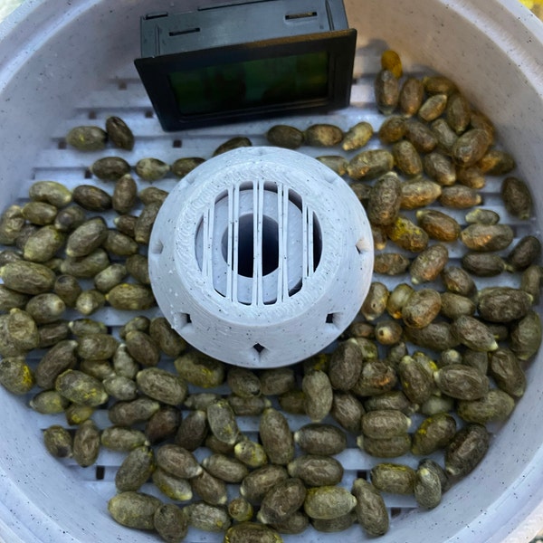 Stackable Mason Bee Cocoon Storage, Hydration Station, 100% ...