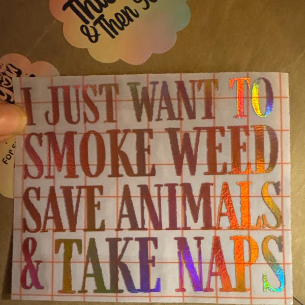 Passenger Princess Door Frame Custom Decal - Etsy