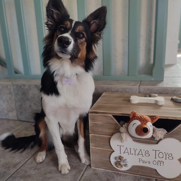 Wooden Doggy Toy Box - Handmade, Unique and Totally GORGEOUS! - Etsy