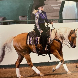 Western Light Pink Show Shirt Western Show Shirt for Women Horse Riding ...