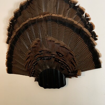 Turkey Fan Mounting Kit 1 to 2 Fan Display black - Etsy