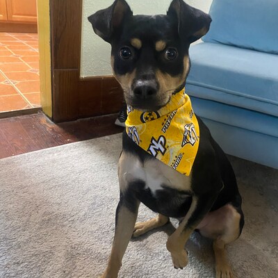 Small 9x12 Snuffle Mat Rooting Rug Canine Pet Dog Pig Rabbit - Etsy