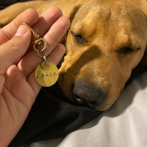 Microchip Dog Tag Custom Dog Tag Microchipped Pet Tag Dog - Etsy