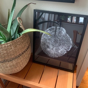 Western Red Cedar Tree Ring Print Black and White Tree Ring - Etsy