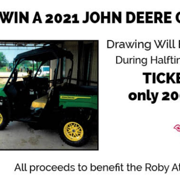 CUSTOM 2-part Standard Raffle Tickets; Numbered Both Sides - Black Ink ...