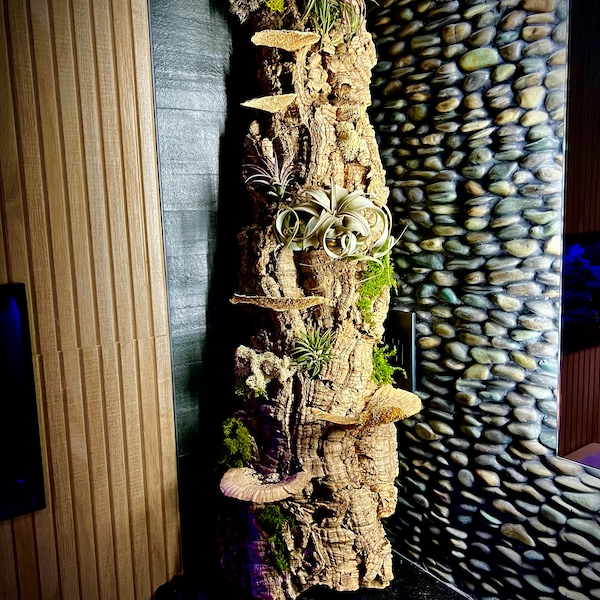 Floating Forest Art Gift, Moss on Cork Bark Natural Wall Decor ...