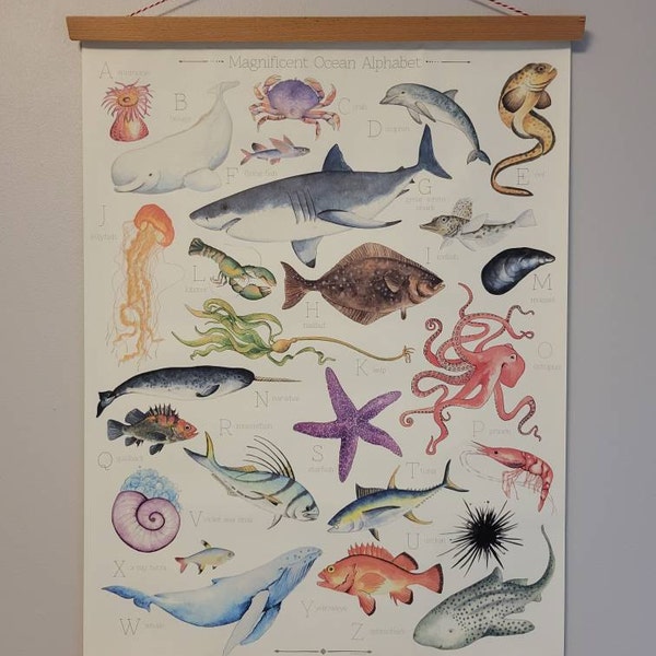 Ocean Alphabet Poster - Etsy