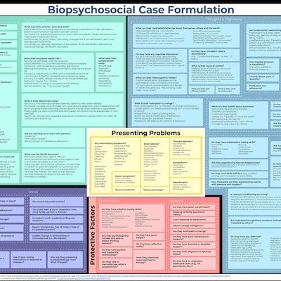 Biopsychosocial Case Formulation Cheatsheet Perfect for Creating ...