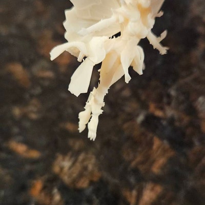 Quest Board, Notice Board, Bulletin Board Asgard Rising High Quality ...