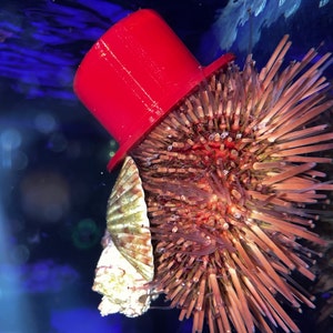 Urchin Hats 4 Pack - Etsy