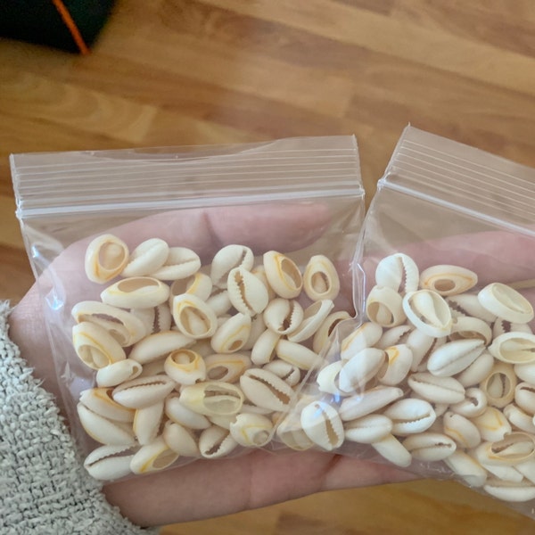 50 Small Cowrie Shell, Natural Sea Shell - Money Shell Bead, Cut Back ...