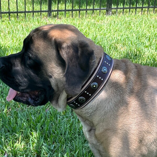 Blazingpaws Mariner 2 Inch Wide Thick Western Leather Dog Collar for ...