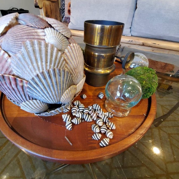 White Seashell Mix - Wedding Shells - White Sea Shells - Mixed Shells ...