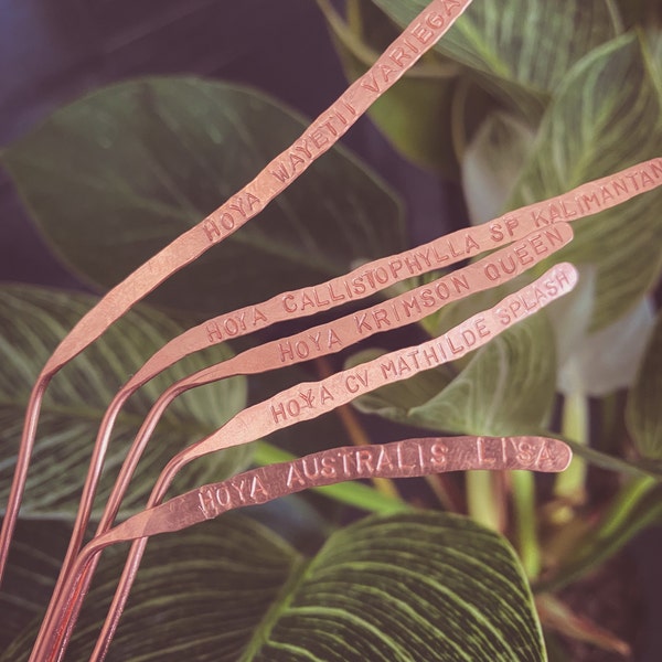 Set of Six Herb Markers + Plant Labels, Identification Tags Custom Made ...