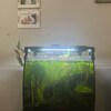 NEW Mini Riser, Fluval Flex Lid Risers, 2" Lid Risers for All Fluval ...