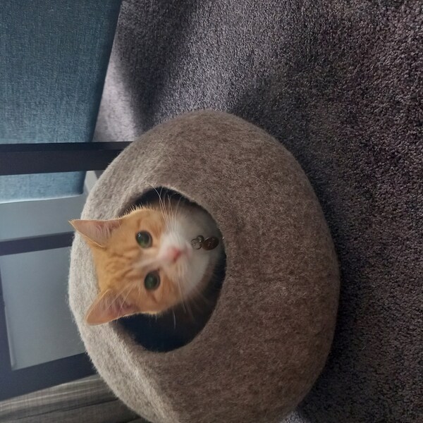 50cm Handmade Wool Cat Cocoon Bed / Cozy Cat Cave House - Etsy