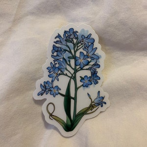 Blue Flower Sticker, Clear Sticker - Etsy