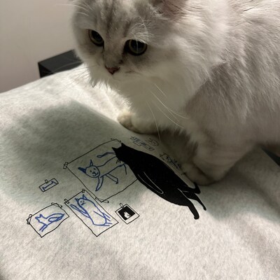 Carrot Cat Sticker Transparent Sticker Cat Stickers Kawaii - Etsy