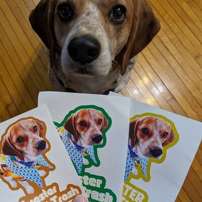 Big Head on a Stick Head Cutout Face on a Stick Graduation Face Fan Big ...