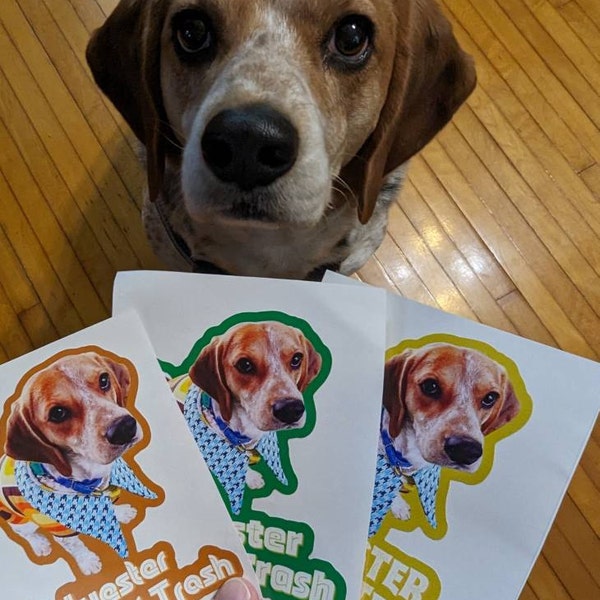 Custom Face Stickers - Personalized Face Stickers - Baby Stickers ...