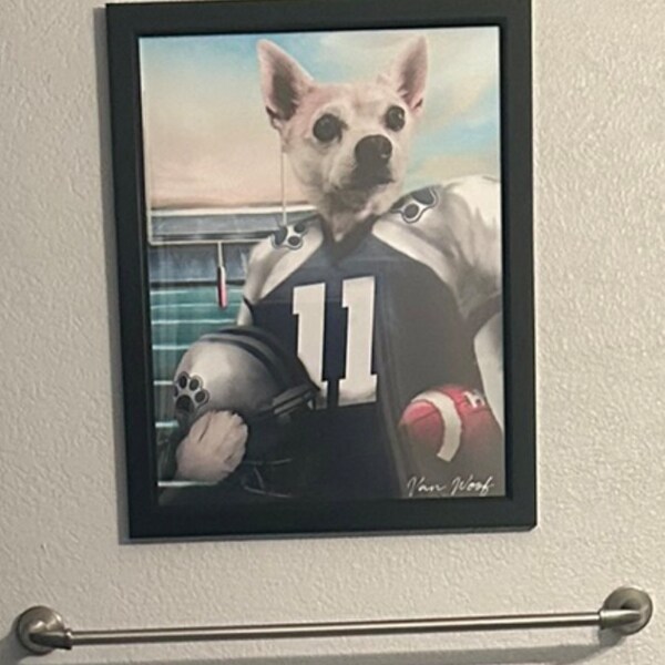 Dallas Football Team Pet Portrait, American Football Fan Gift Art ...