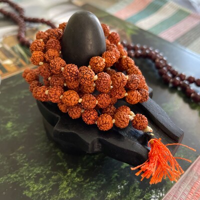 Conch Shell Puja-blowing Shankh Sound Brings Prosperity Positivity ...