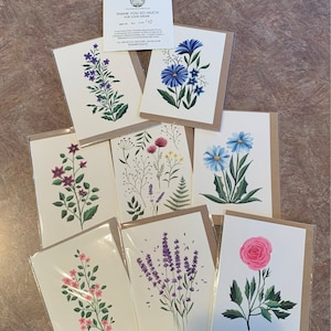 Coastal Shells Art Postcard Seashells and Wildflowers - Etsy