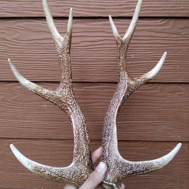 Replica horns antlers and resin masks. by BlackCraneCreations