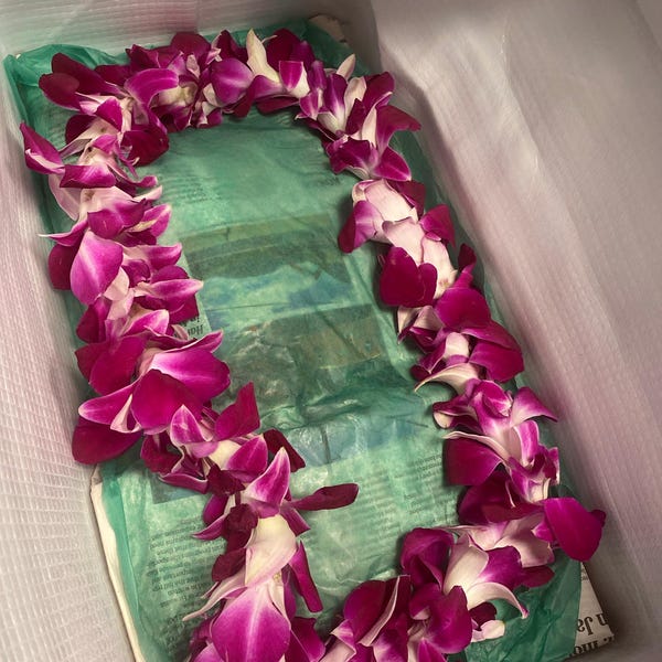 Hawaiian Lei - Fresh Purple Orchid Lei, Real Flower Lei, Shipped Fresh ...