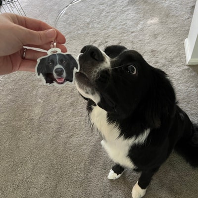 Ghost Pet ID Tag for Dogs and Cats Ghost Name Tag Halloween - Etsy