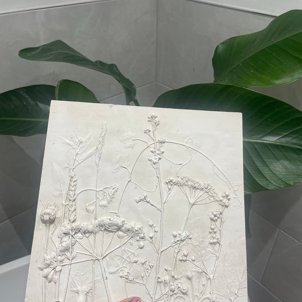 Botanical Wall Art, Plaster Relief, Douglas Fir, Pine Cones, Spruce ...