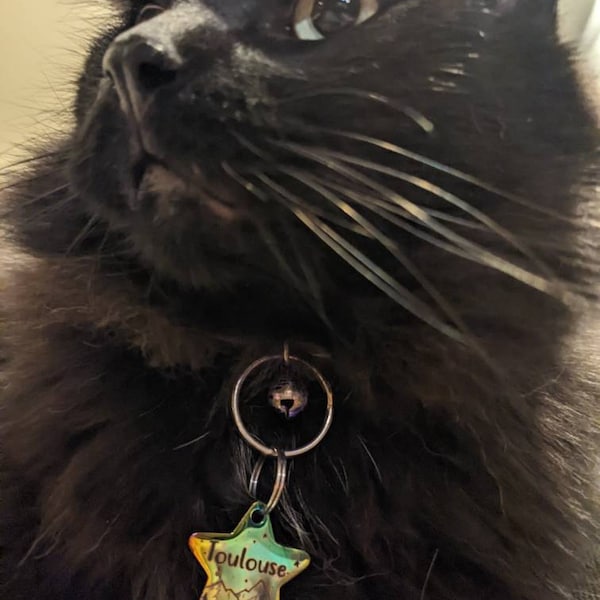 Cat Id Tag - Pet Tag - Cat Tag Personalized - Cat Tag Small - Pet Tags ...
