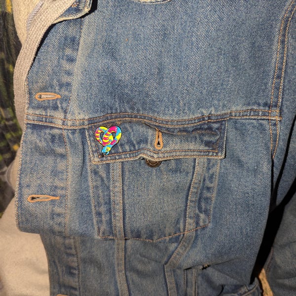 Pansexual Pride Noodle Cute Enamel Pin in Pan Pride Flag Colors ...