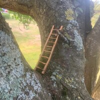 Fairy Ladder String Ladder Fairy Garden Accessory - Etsy