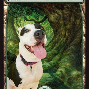 Personalized Pet Magic the Gathering Foil Land - Etsy