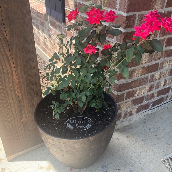 Personalized Acrylic Garden Sign, Flower Pot Message Sticks, Gardening ...