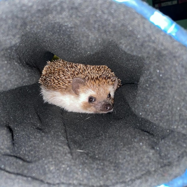 Hedgehog Cozy Cuddle Sack Dreamy Hedgehog Design - Etsy