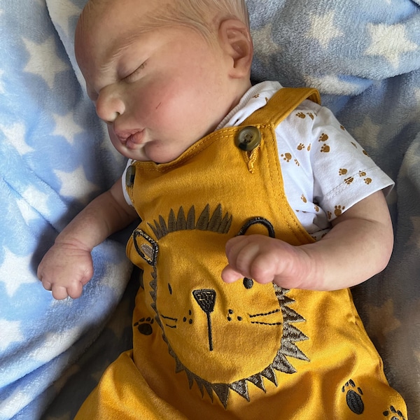Reborn Baby Boy Teddy by Vahni Gowing Mono Root Custom Order - Etsy