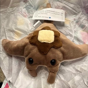 Sea Pancake Manta Ray Plush - Etsy
