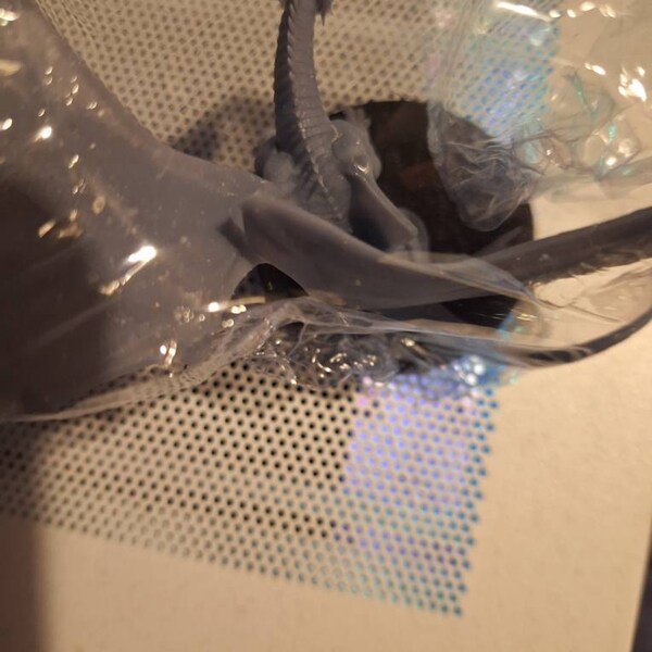 Lizard King-queen Miniature Model for D&D Dungeons and Dragons ...