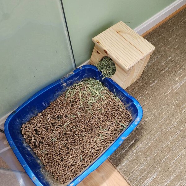 Tree Rabbit Toy natural - Etsy