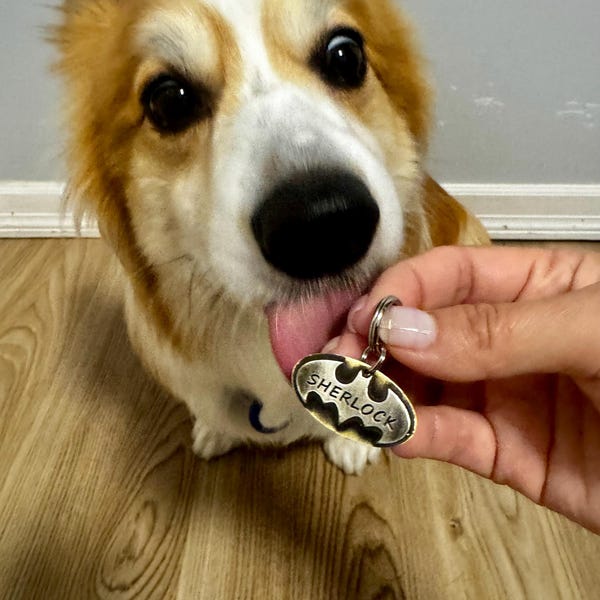 Letter "a" Dog Tag-pet ID Tag-unique Pet Tag-custom Hand Crafted ...