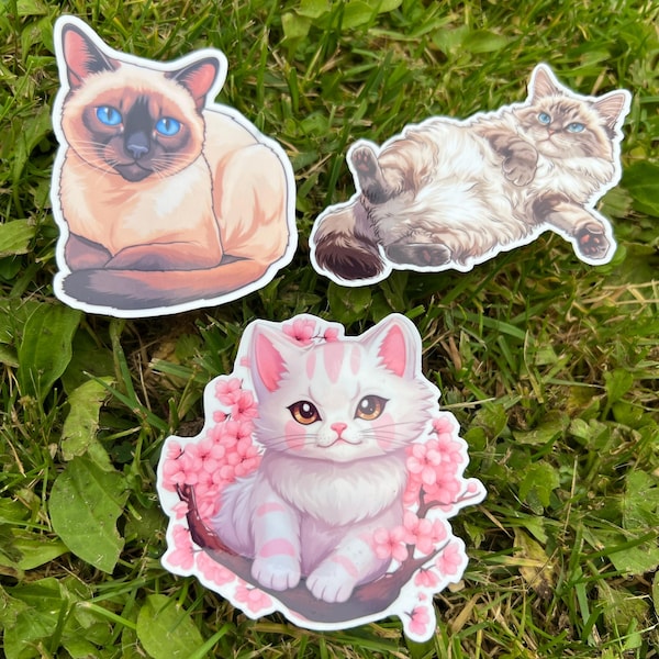 Himalayan Cat Sticker for Women, Cute Cat Gifts for Cat Lovers ...