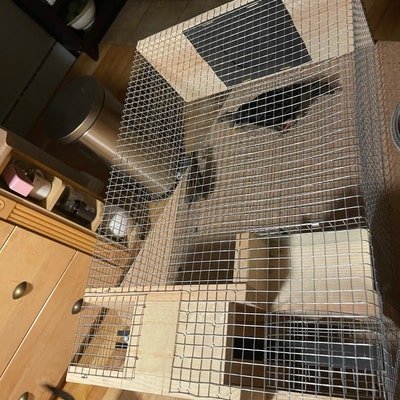 Original Deluxe Repeating Sparrow Trap full Copyright Directions ...