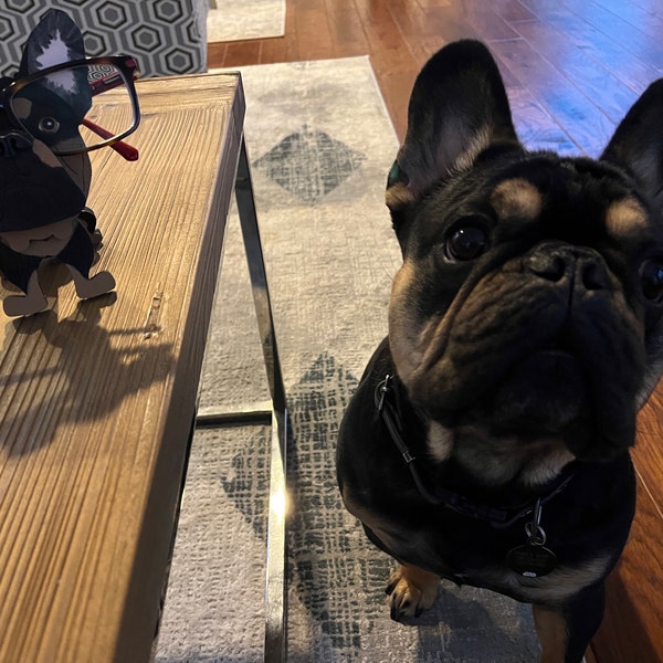 Grey Frenchie Eyeglass Holder Hand Painted, Adorable French Bulldog ...