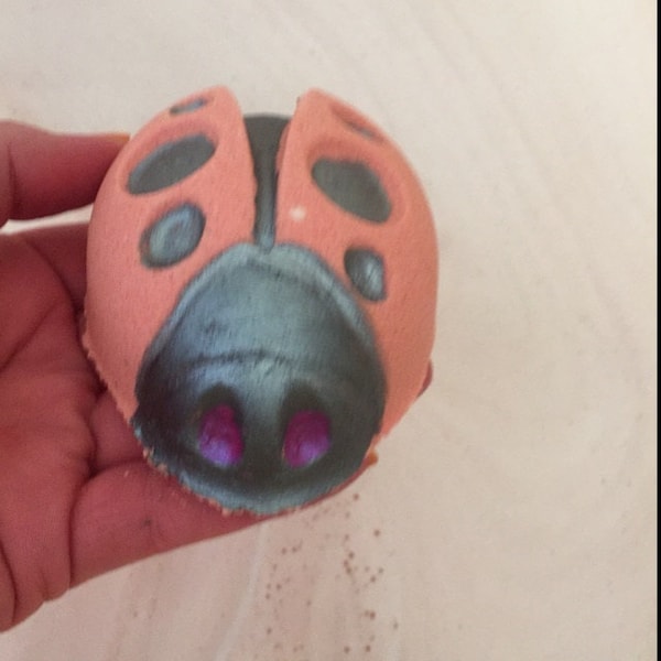 Ladybug Mold Plastic Mold for Bath Bombs Soap Mold Resin Mold Craft ...